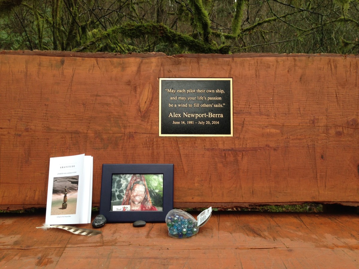 A Bench in the Woods – Alex Newport-Berra